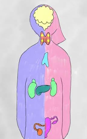 Lessons Worth Sharing | TED-Ed