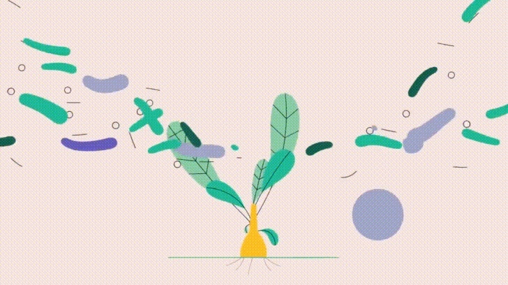 TED-Ed